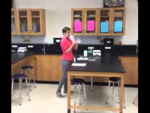 Jell-O Lab Set Up: Enzyme Experiment - YouTube