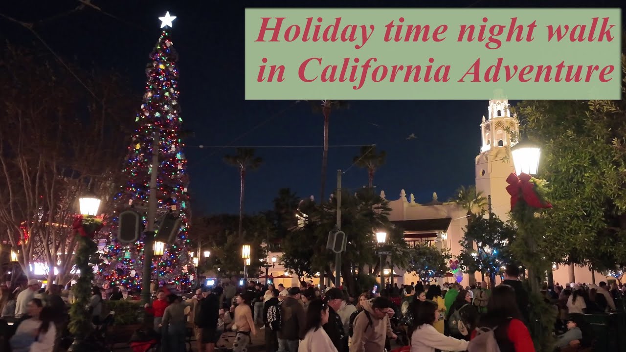 DCA Holiday Night Time Walking tour 12 10 2025 - YouTube