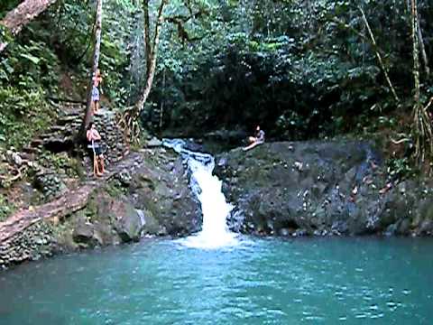 Colo-I-Suva Forest Park - YouTube