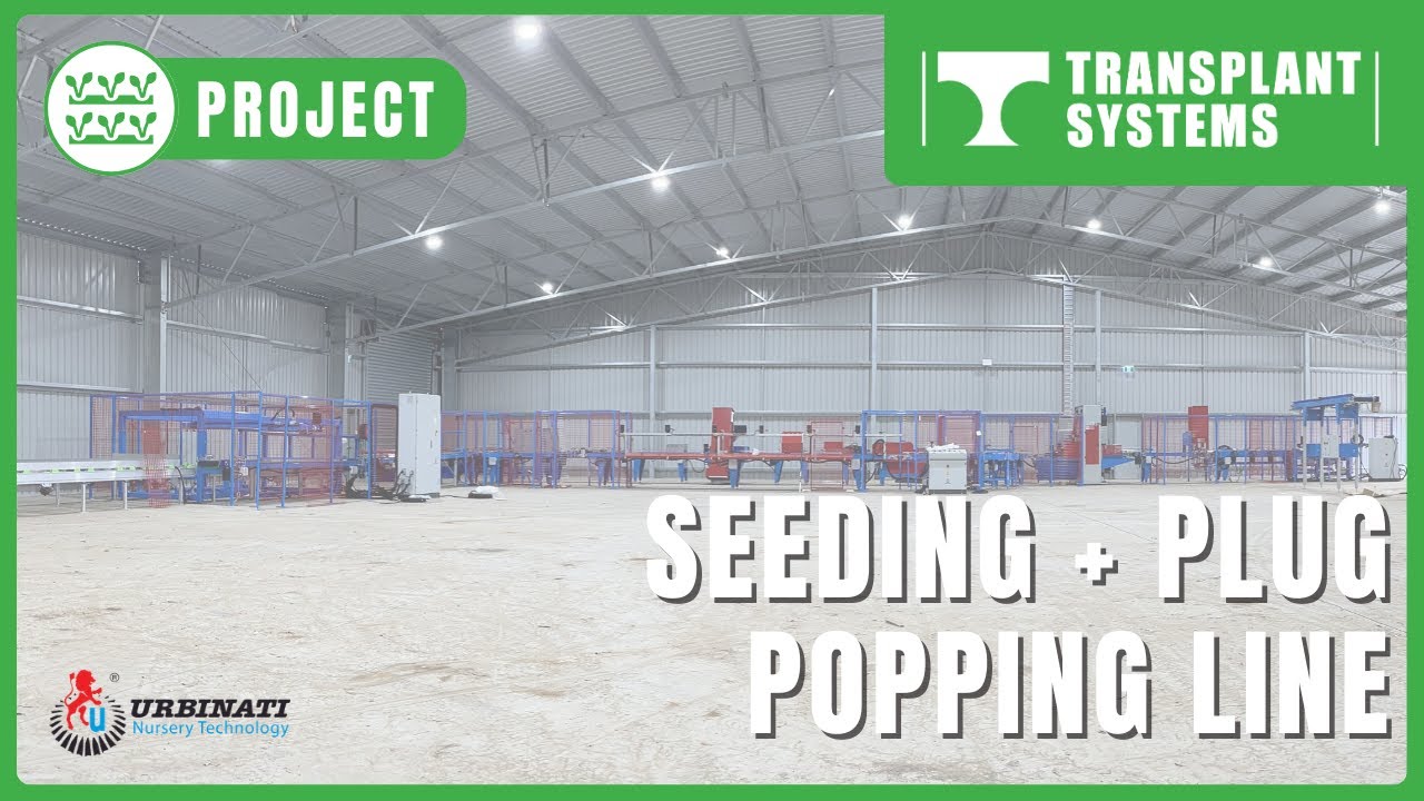 Seeding & Plug Popping Line | Urbinati & KG Systems | Installed by ...