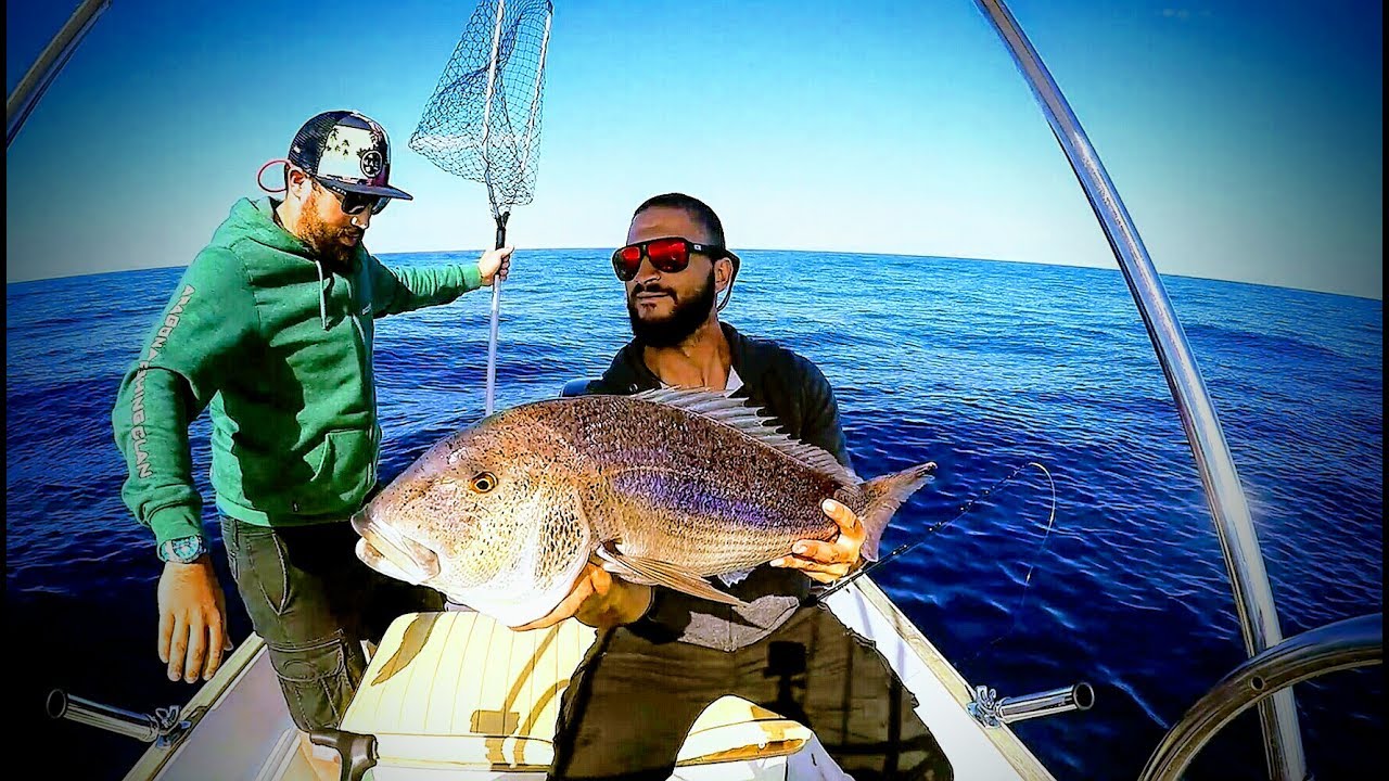 DENTICIONE A TRAINA COL VIVO - BIG DENTEX/SNAPPER ON LIVE BAIT - YouTube