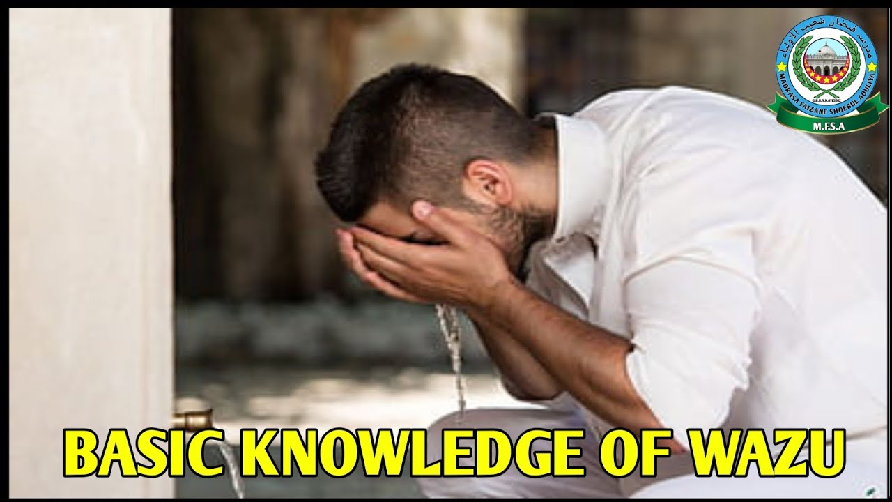BASIC KNOWLEDGE OF WAZU EVERYONE SHOULD KNOW - YouTube