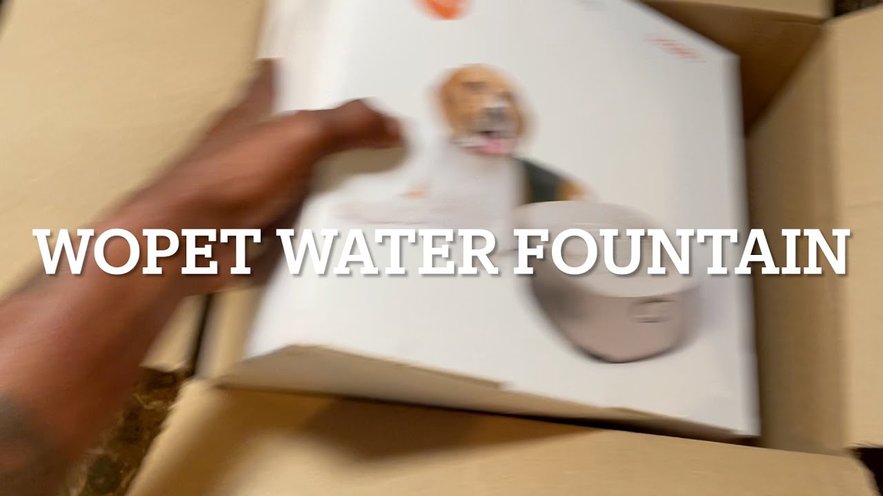 PRODUCT OPENING: WOPET WATER FOUNTAIN - YouTube