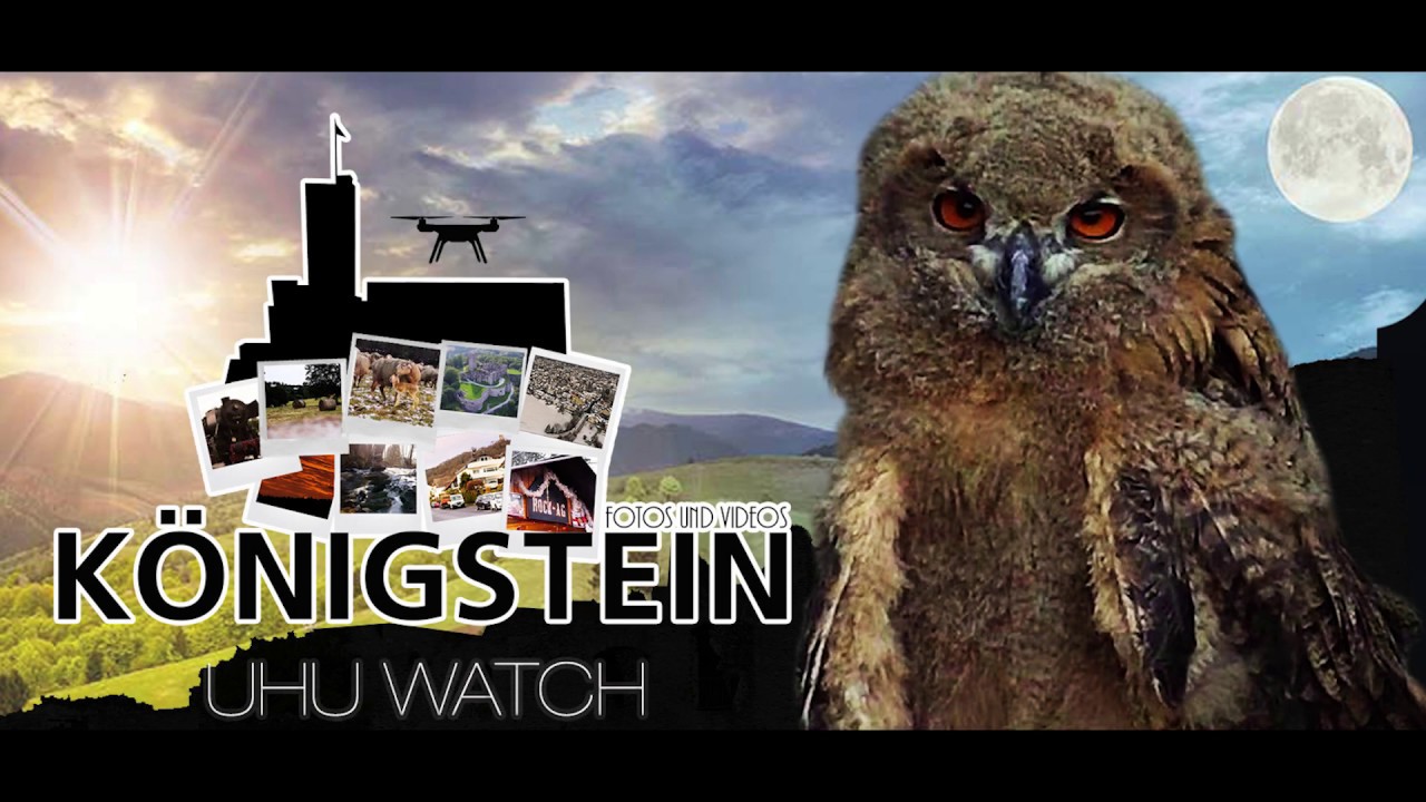 🦉 Uhu-Baby Mika & Geschwisterchen unterwegst! Nebel/Schnee/Fütterung ...