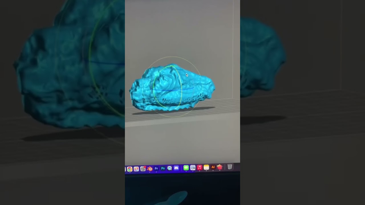 Part two: 3D Scanning and 3D printing Chicken Wing by AboveWongArt ...