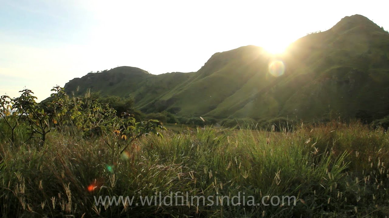 Green islands of East Timor - YouTube