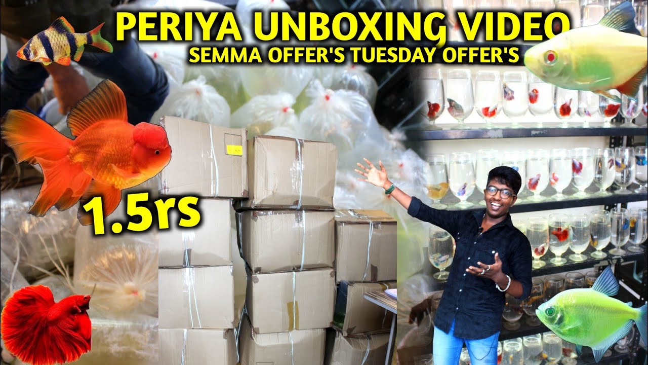 Biggest Unboxing of k.t aquarium 🔥Vera level offer 1.5rs than fishes # ...