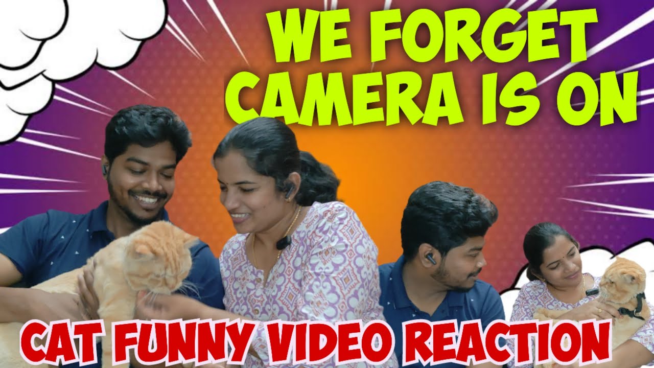 We forget Camera is ON 📸 | CPTK Reaction | Cats funny videos reaction ...