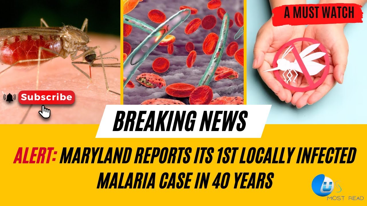 Maryland reports its first locally infected malaria case in 40 years ...