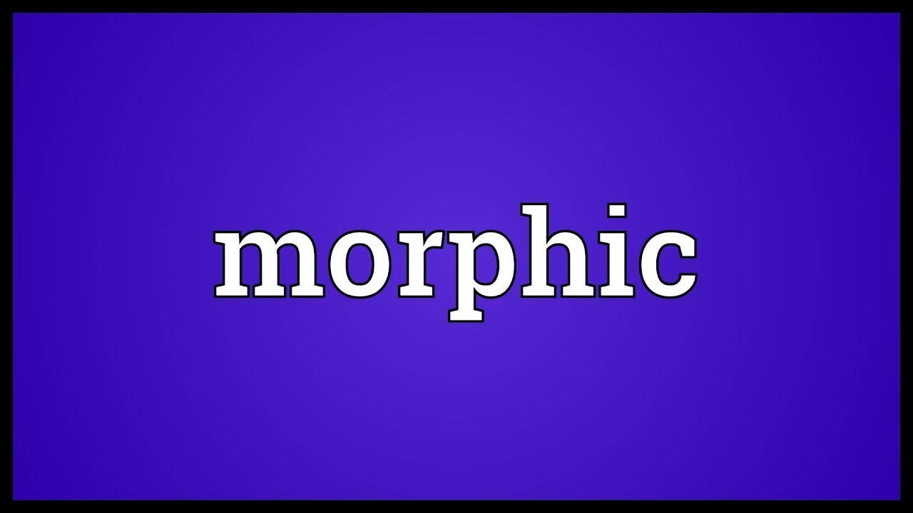 Morphic Meaning - YouTube