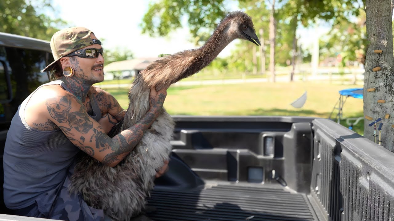 NEW EMU ON THE RANCH? WILL IT WORK OUT ?! - YouTube