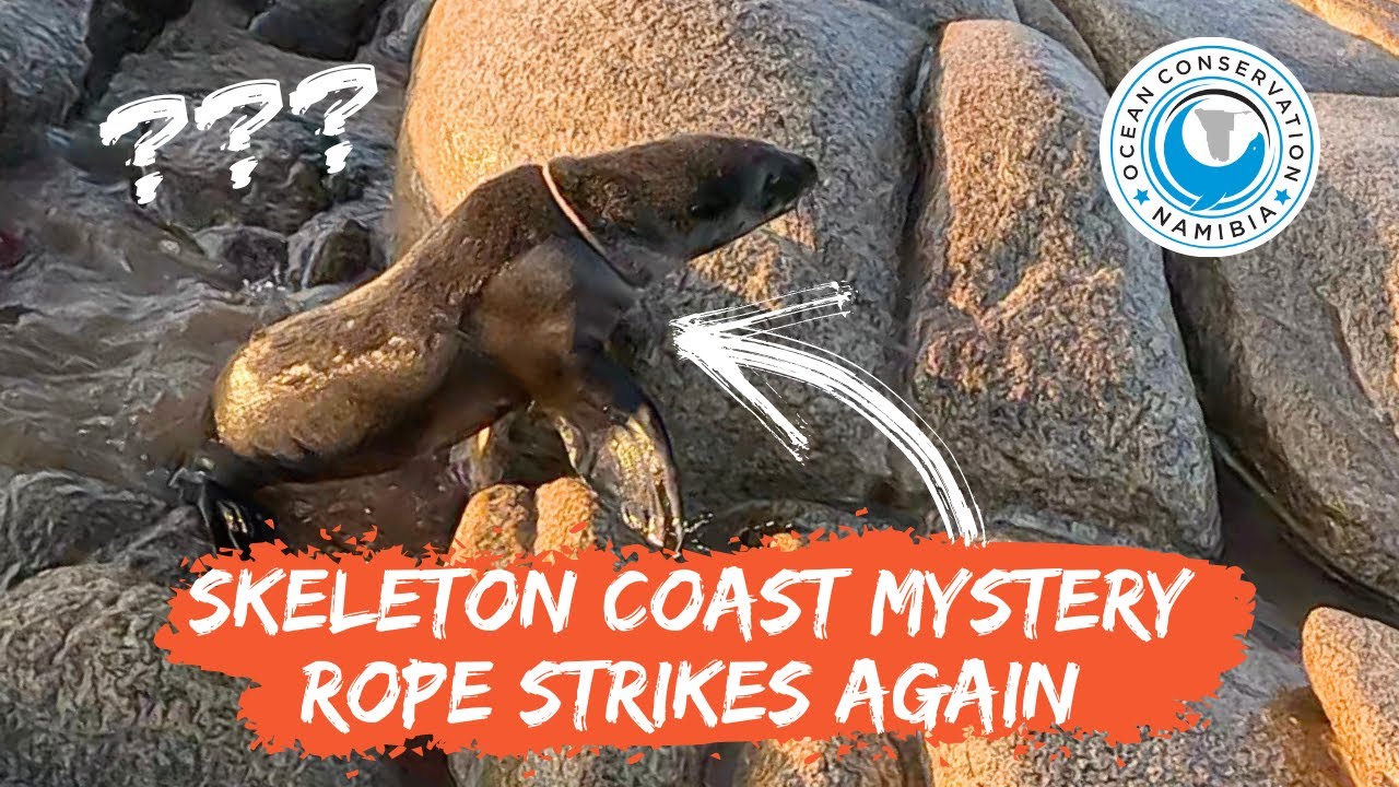 Skeleton Coast Mystery Rope Strikes Again - YouTube