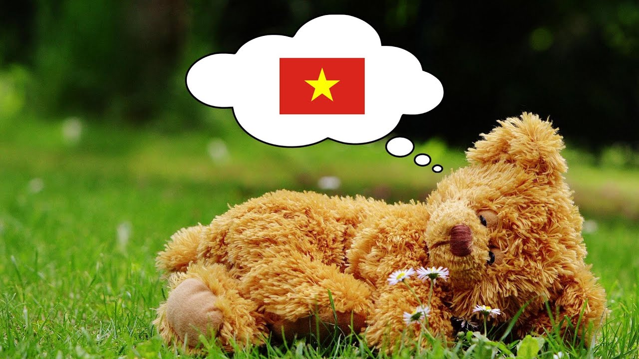 Learn Vietnamese While You Sleep - 1000 Important Vietnamese Words ...