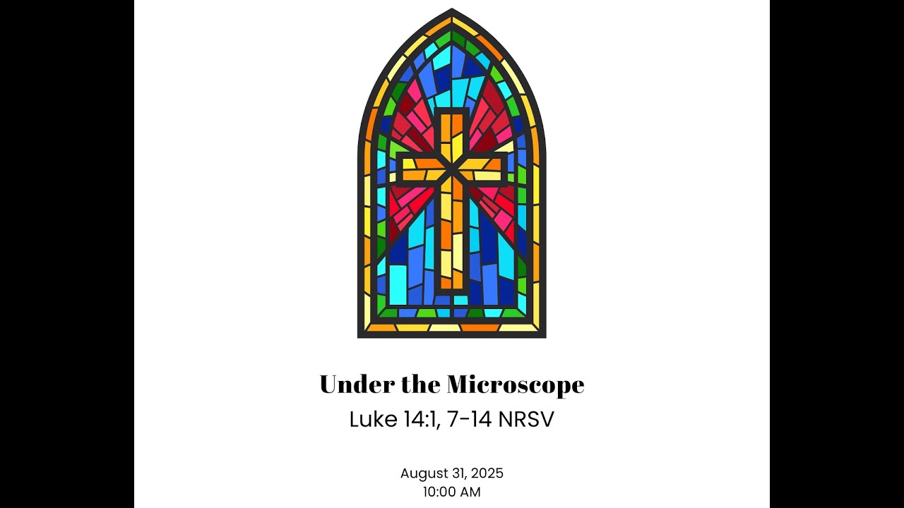 Under the Microscope - YouTube