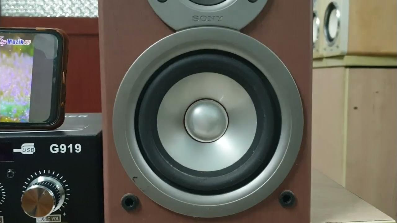 Đôi loa mini Sony SS_ CM100. Bass 10, màng cacbon.Công suất 60w/ đôi.650k.LH:0986.138.413 - YouTube
