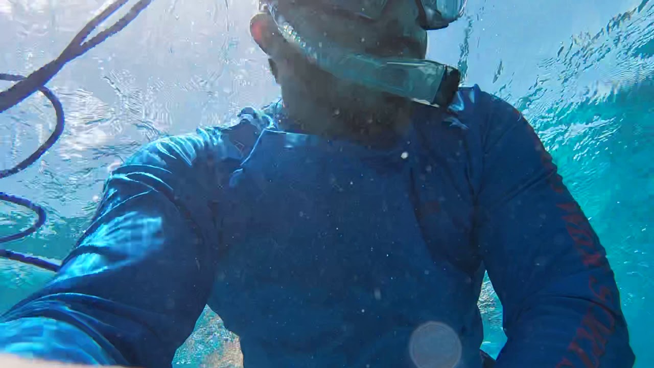 Marathon key snorkeling - YouTube