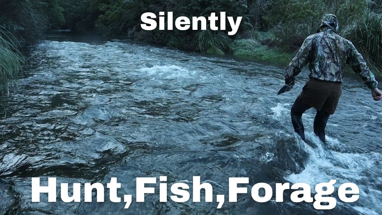 Fish and Forage in Silence ASMR - YouTube