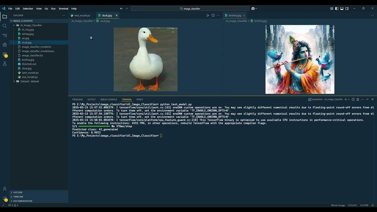 AI Image Classifier Demo | Detect AI vs. Natural Images 🖼️🤖 - YouTube