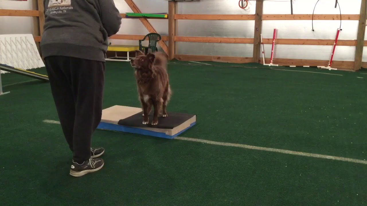 STOP progression - YouTube