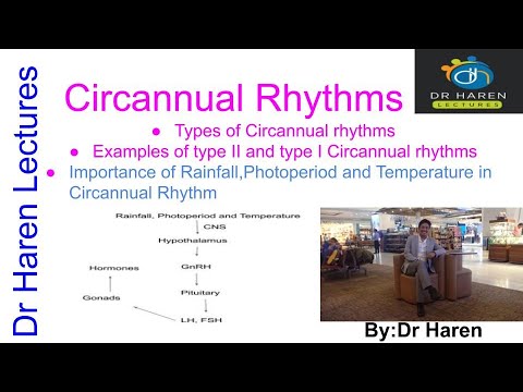 Circannual rhythms - YouTube
