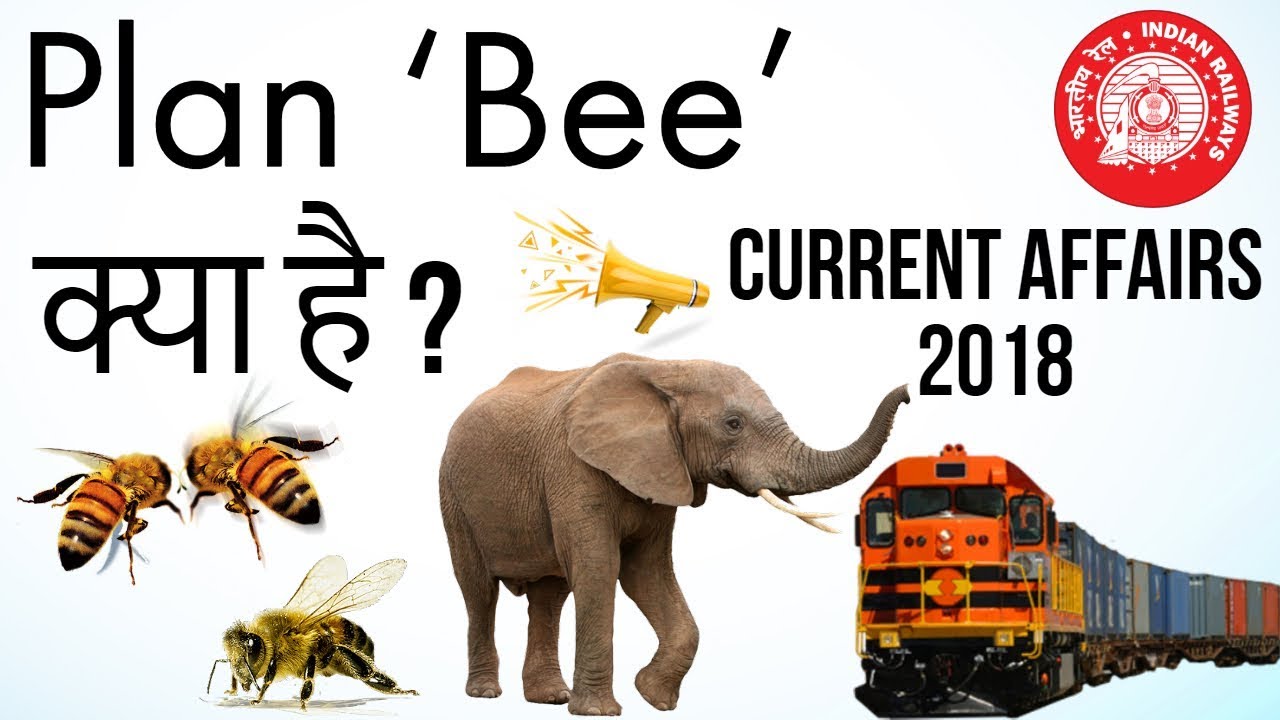 What is Plan BEE मधुमक्खियां बचायेंगी हाथियों की जान, रेलवे ने बनाया ये ...
