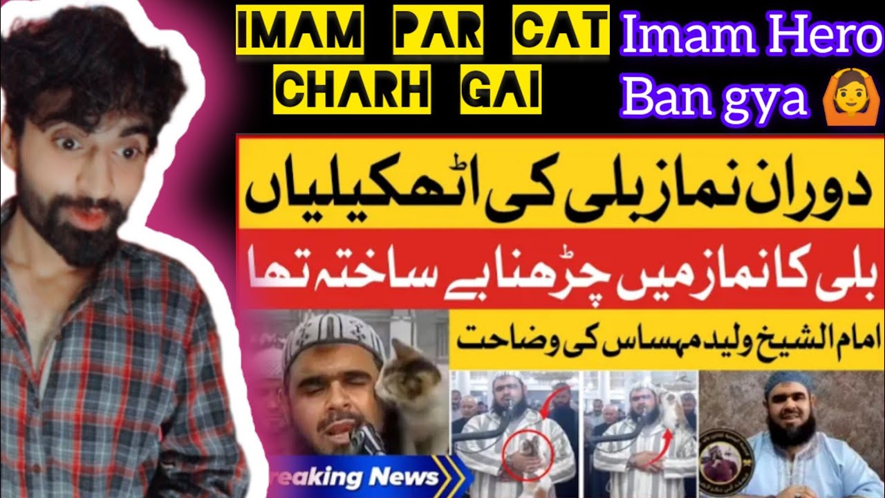 Cat jumps on imam during Ramzan prayer || cat jumps on imam viral video ...
