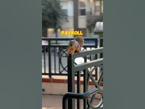 Our Security Squirrel! 🤣😂 #shorts - YouTube