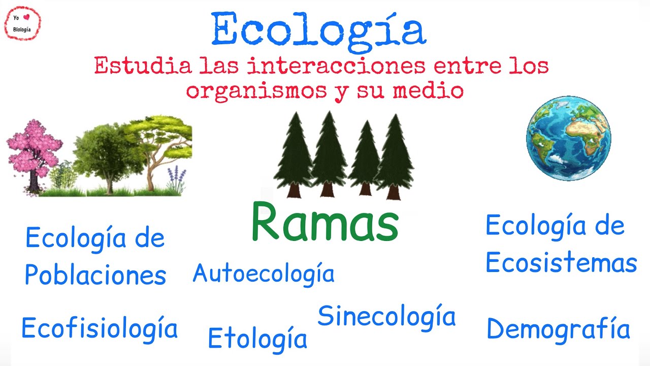 🌿 ¿Qué es la ecología? - Y sus ramas - @BiologíayEcología - YouTube