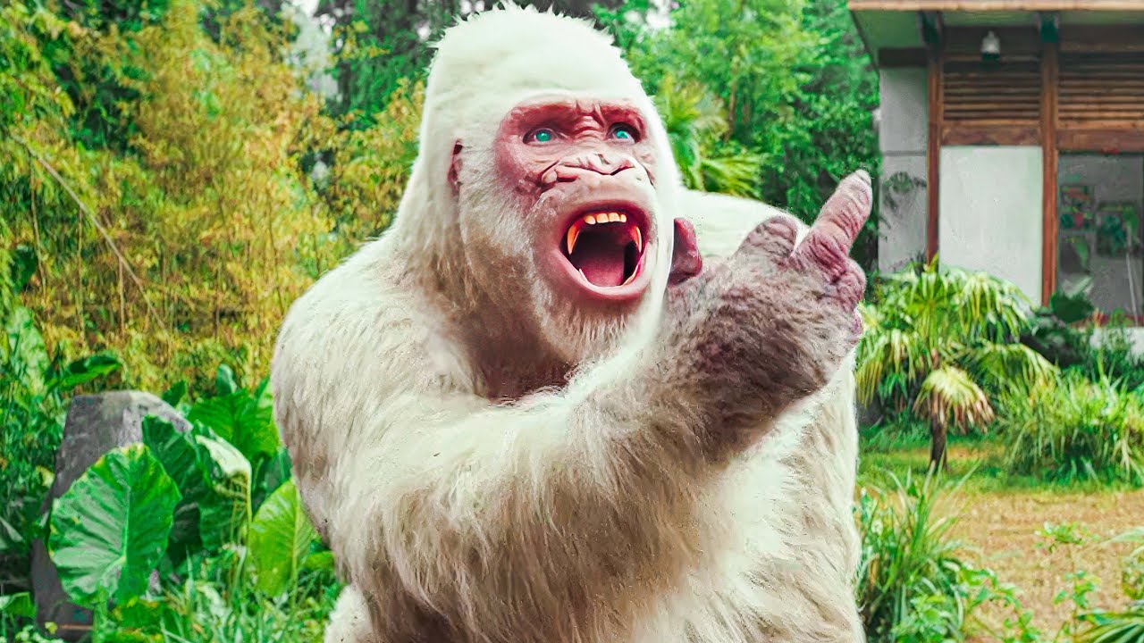 Albino Primate Understands Humans And Constantly Jokes At His Human ...
