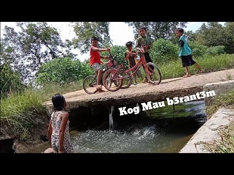 INTIP KESERUAN ANAK ANAK DESA BERENANG DI TANGGUL
