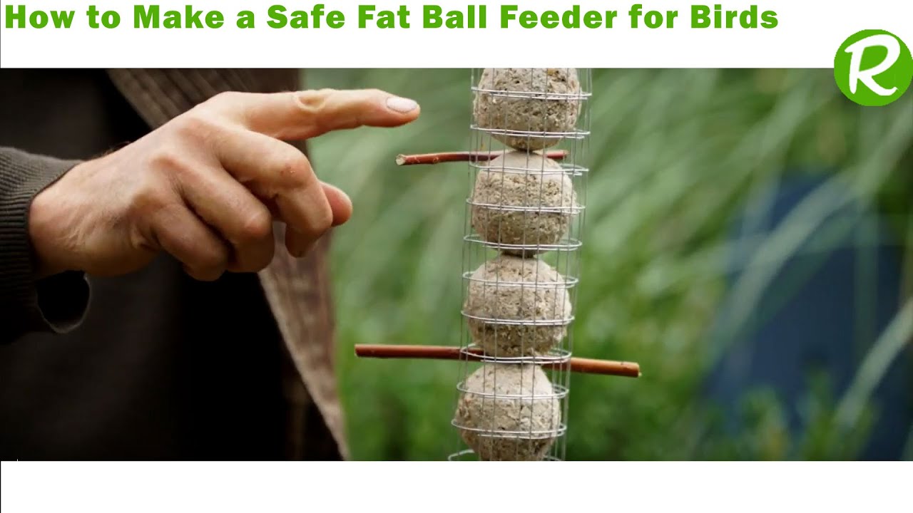 How to make a safe fat ball feeder for Birds🐦 - YouTube