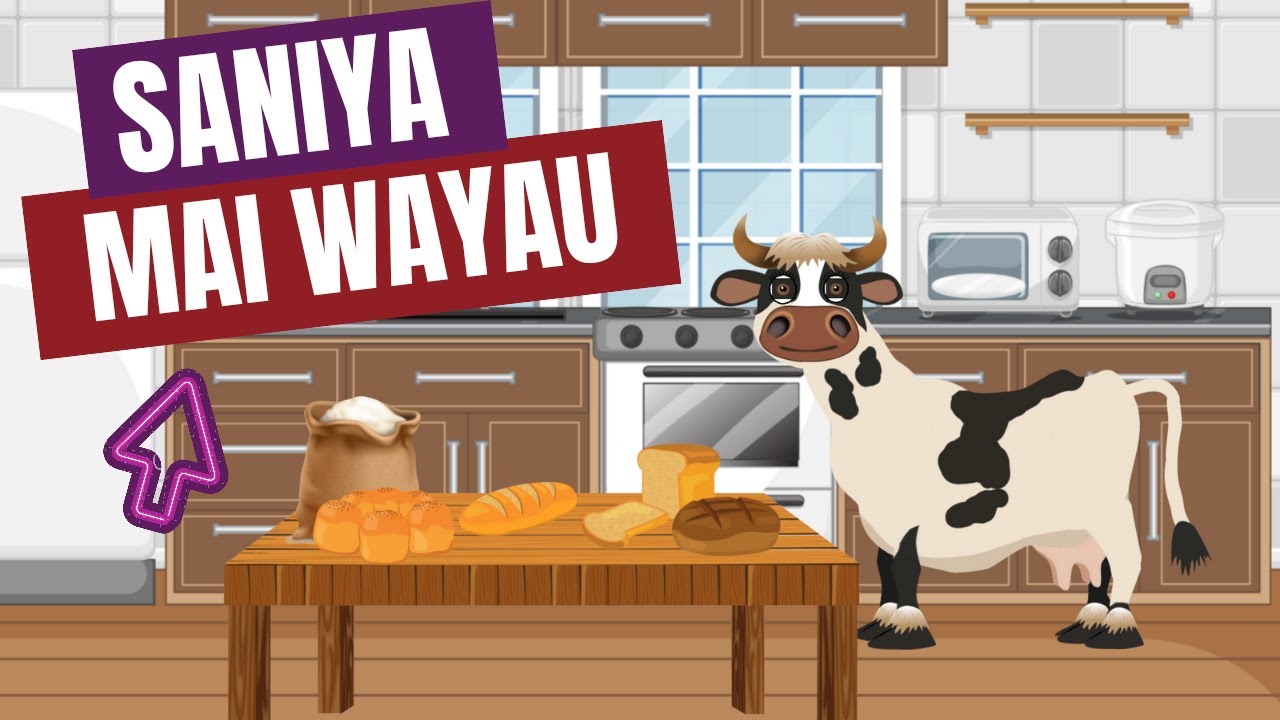 Labarin Farar Saniya Mai Wayau - Gizo Da Koki Cartoons - YouTube