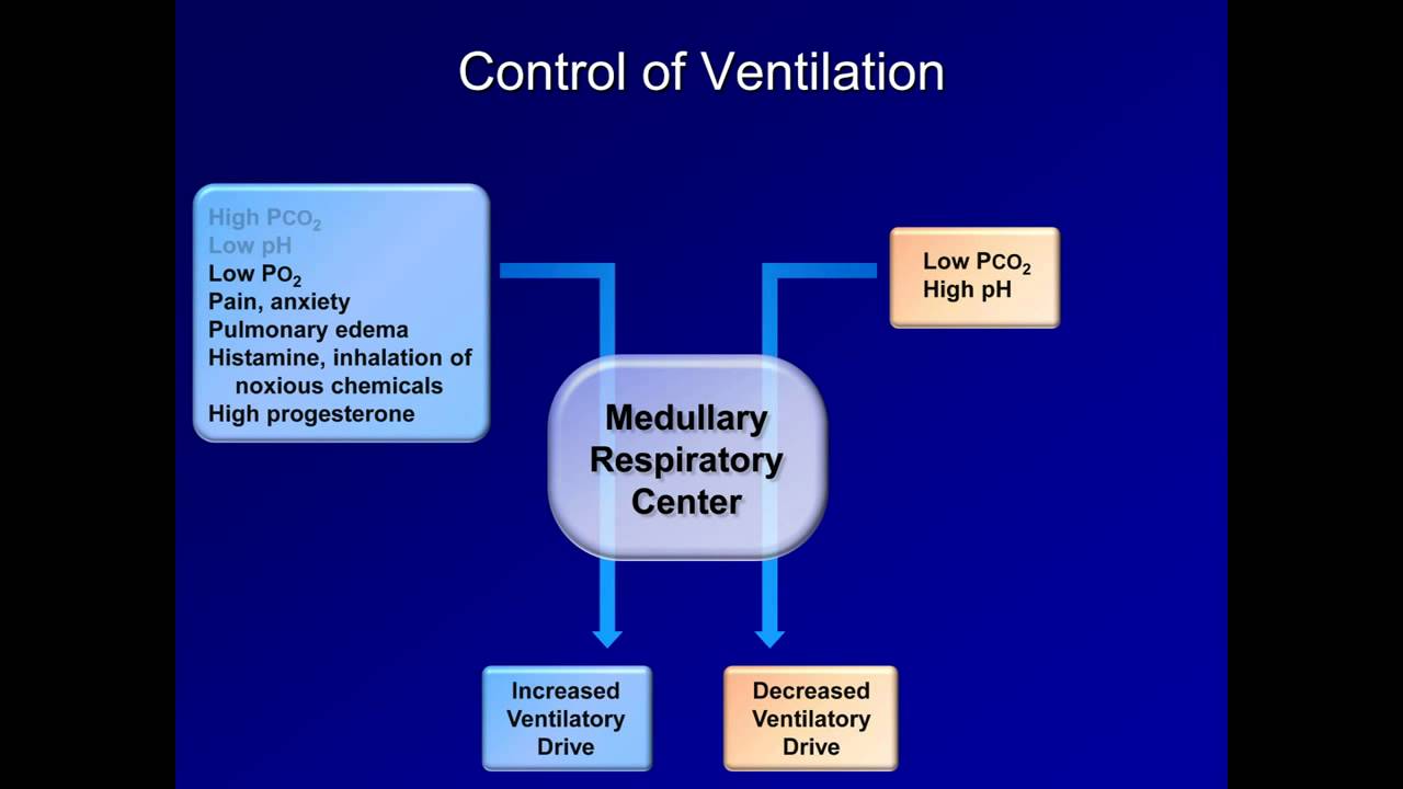 Respiratory Alkalosis ABG Interpretation Lesson 12 - YouTube