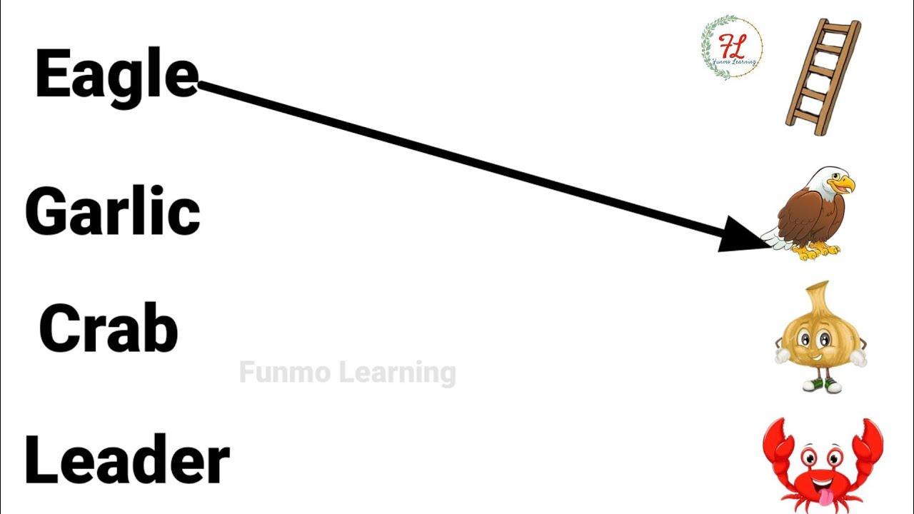 match the name with pictures | learn spellings, lkg nursery class ...