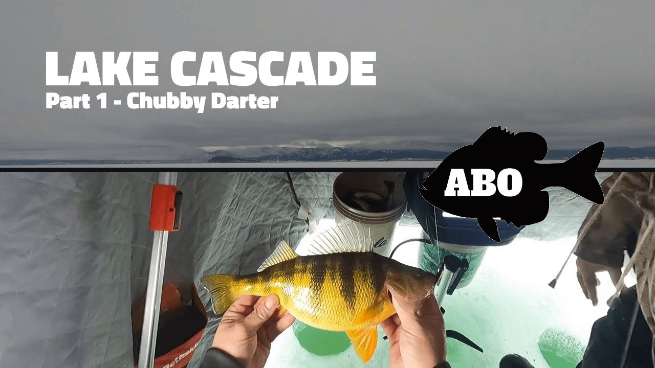 ABO | Lake Cascade Yellow Perch - Part 1 - YouTube