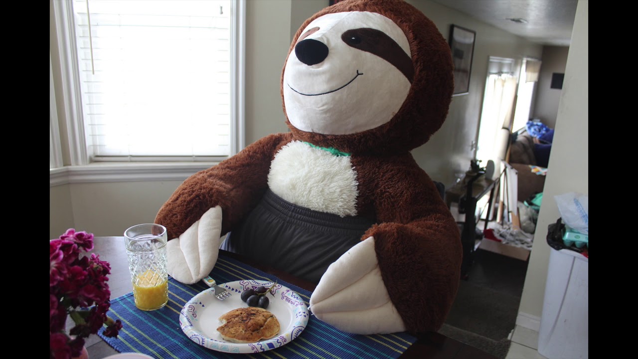 Sammy the Sloth Goes to School - YouTube