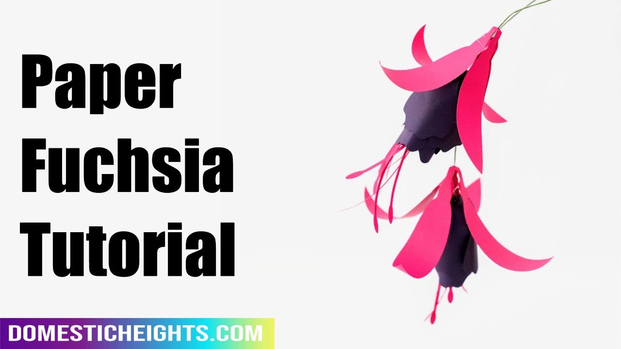 Paper Fuchsia Tutorial - YouTube