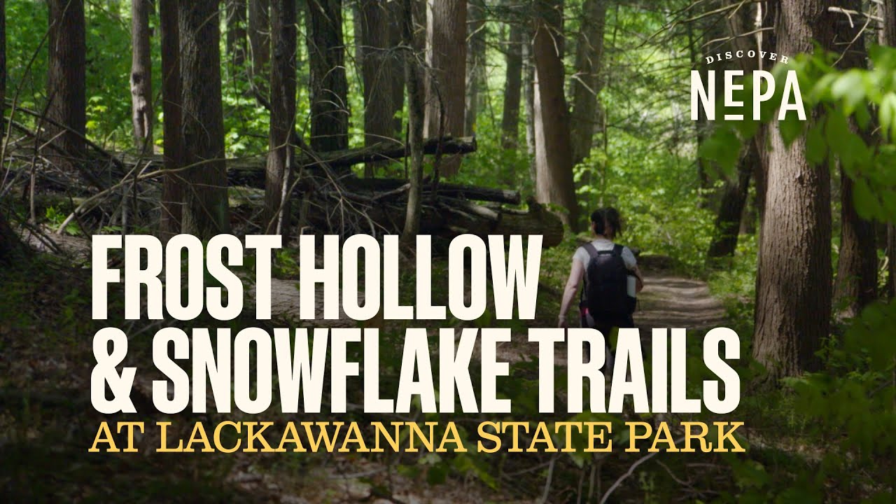 Frost Hollow & Snowflake Trails at Lackawanna State Park | North ...