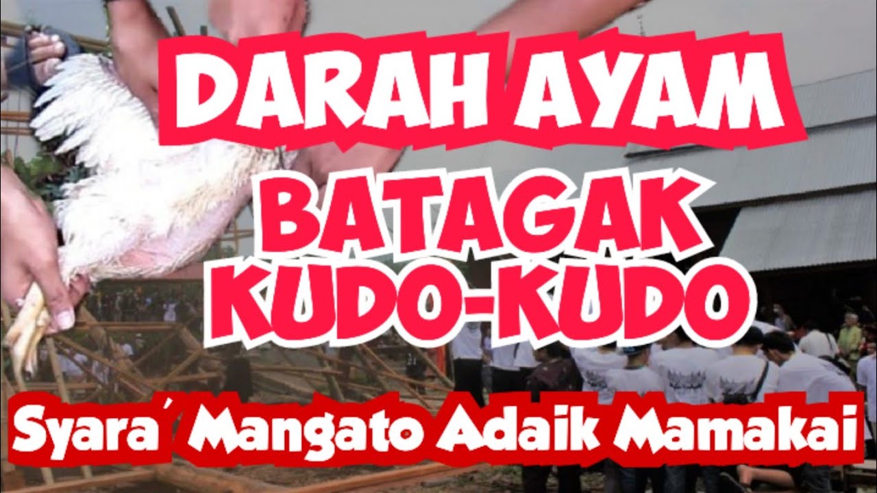 Darah Ayam dalam Upacara Adat Batagak Kudo-kudo | ABS SBK - YouTube