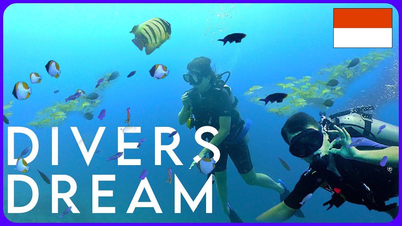 How beautiful can diving be in Indonesia? | DIVERS DREAM - YouTube