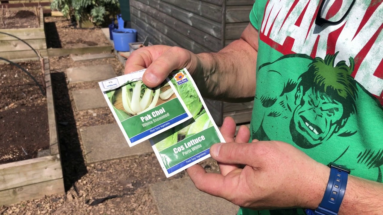 Andrew Teilo: Vlog Garddio 3 - YouTube