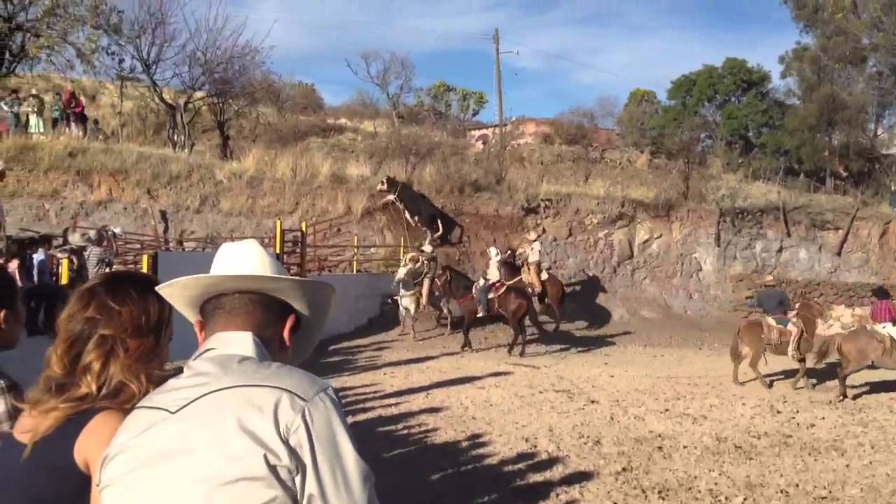 Coleadera Los Sandovales 2013 - YouTube
