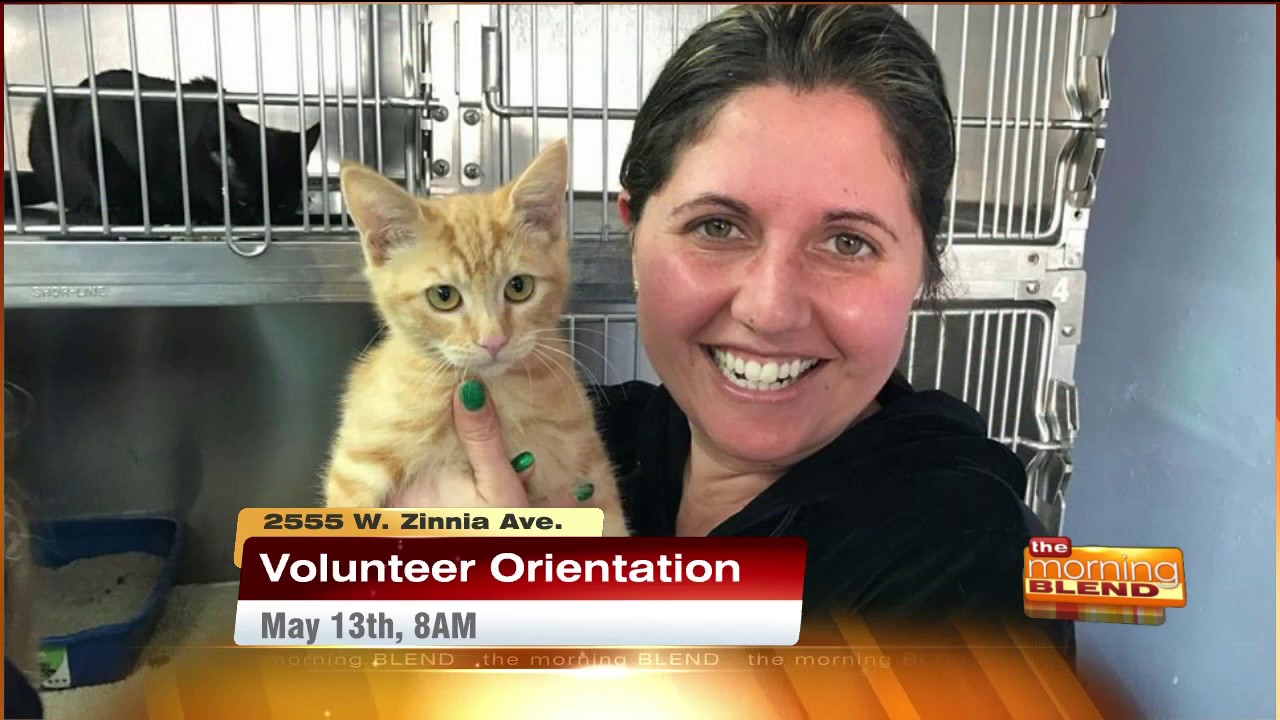 Experience Reiki to help the animals at Pima Paws for Life - YouTube