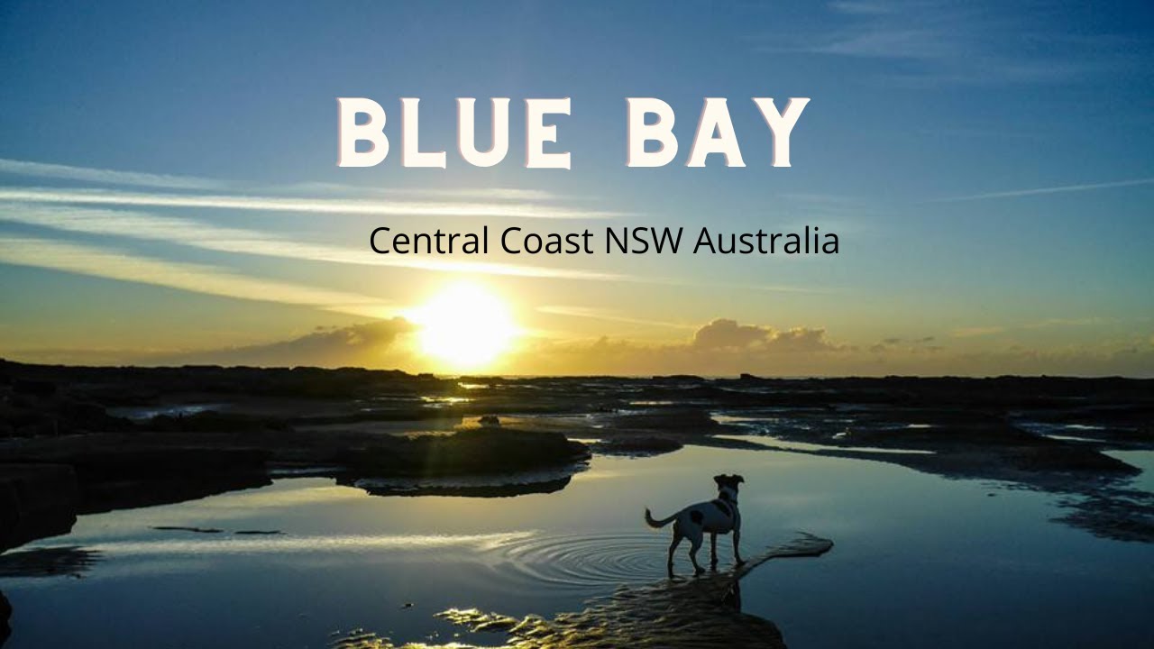 Surfs Up at Blue Bay Central Coast NSW - YouTube