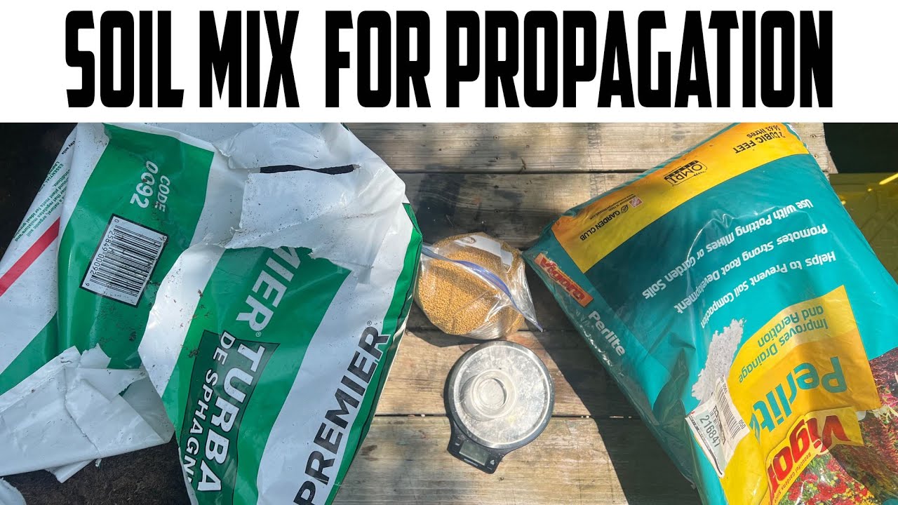 Soil Mix for Propagation - YouTube