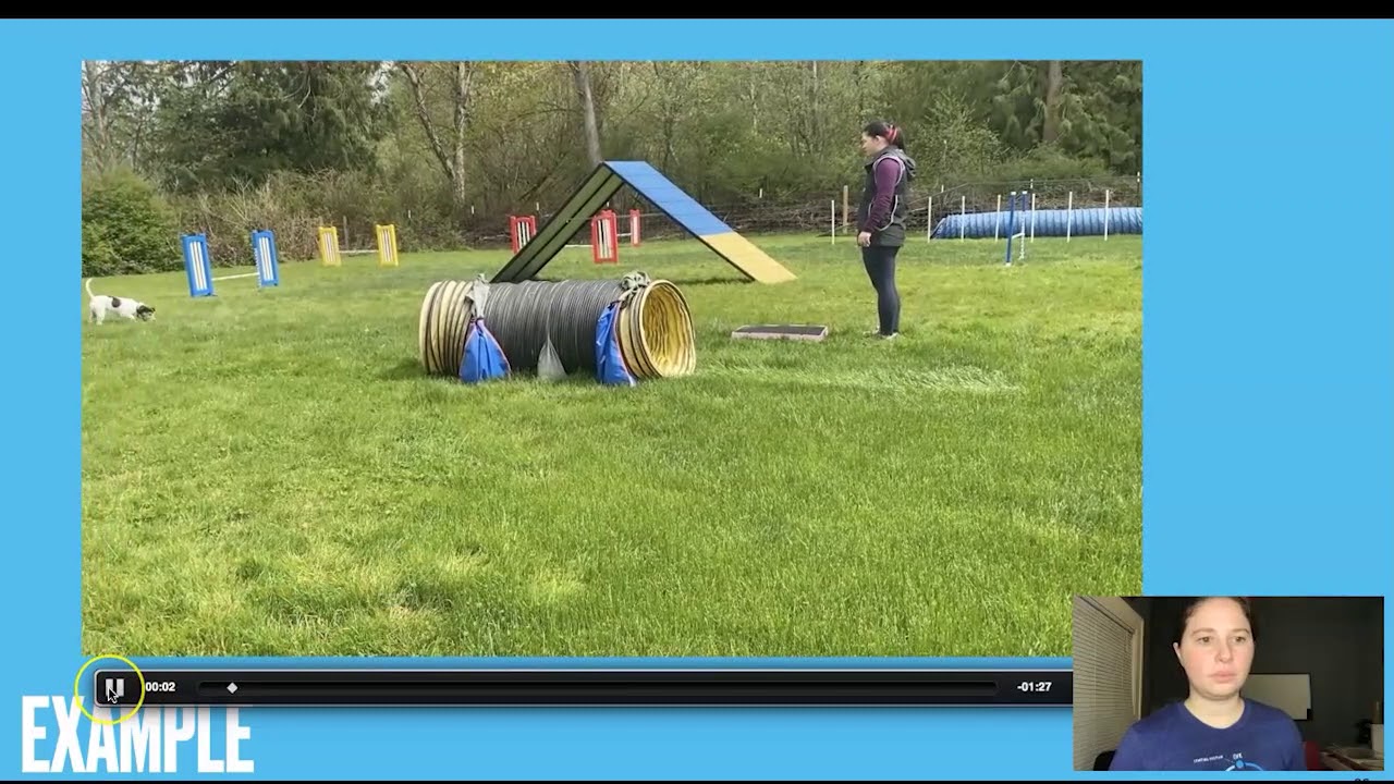 FDSA Workshop: Megan Foster- Loopy Agility Training - YouTube