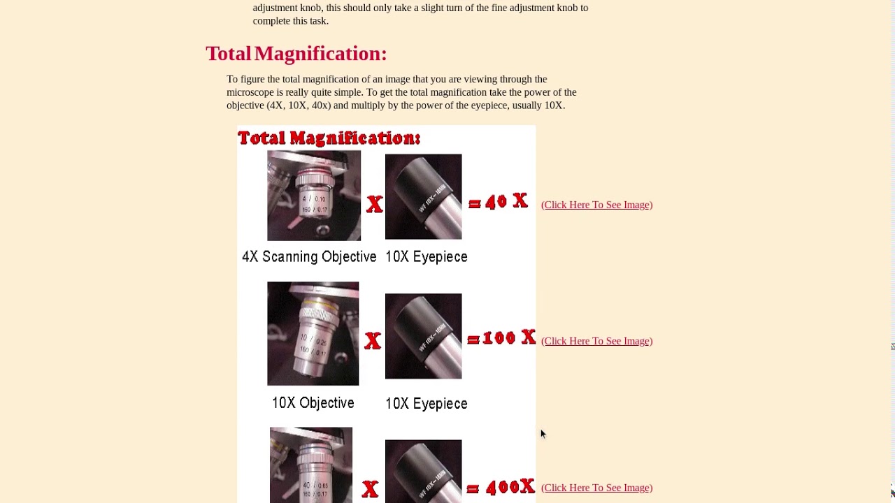 Microscope Webquest - YouTube
