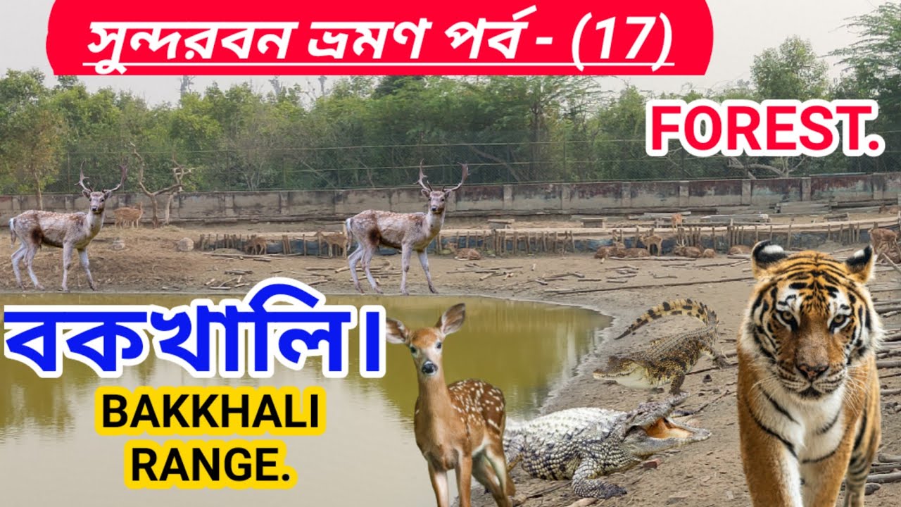 Bakkhali Range Crocodile Project।। Bakkhali forest, Sundarban।। বকখালি ...