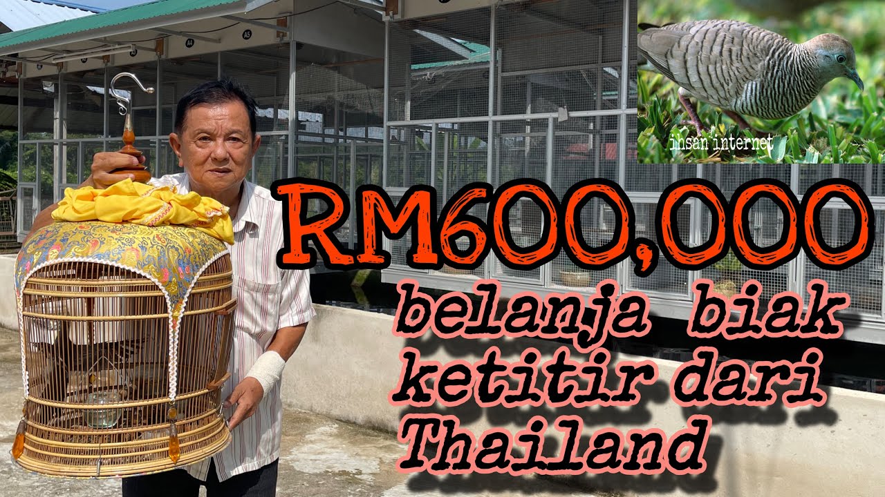 Hasilkan ketitir pelbagai seni suara dan keunikkan - YouTube