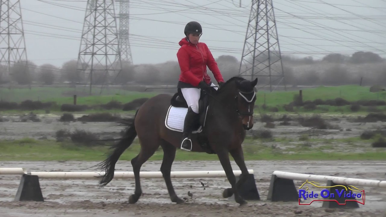 186D Christine Poulos on Carra Clover Princess Open Training Dressage ...